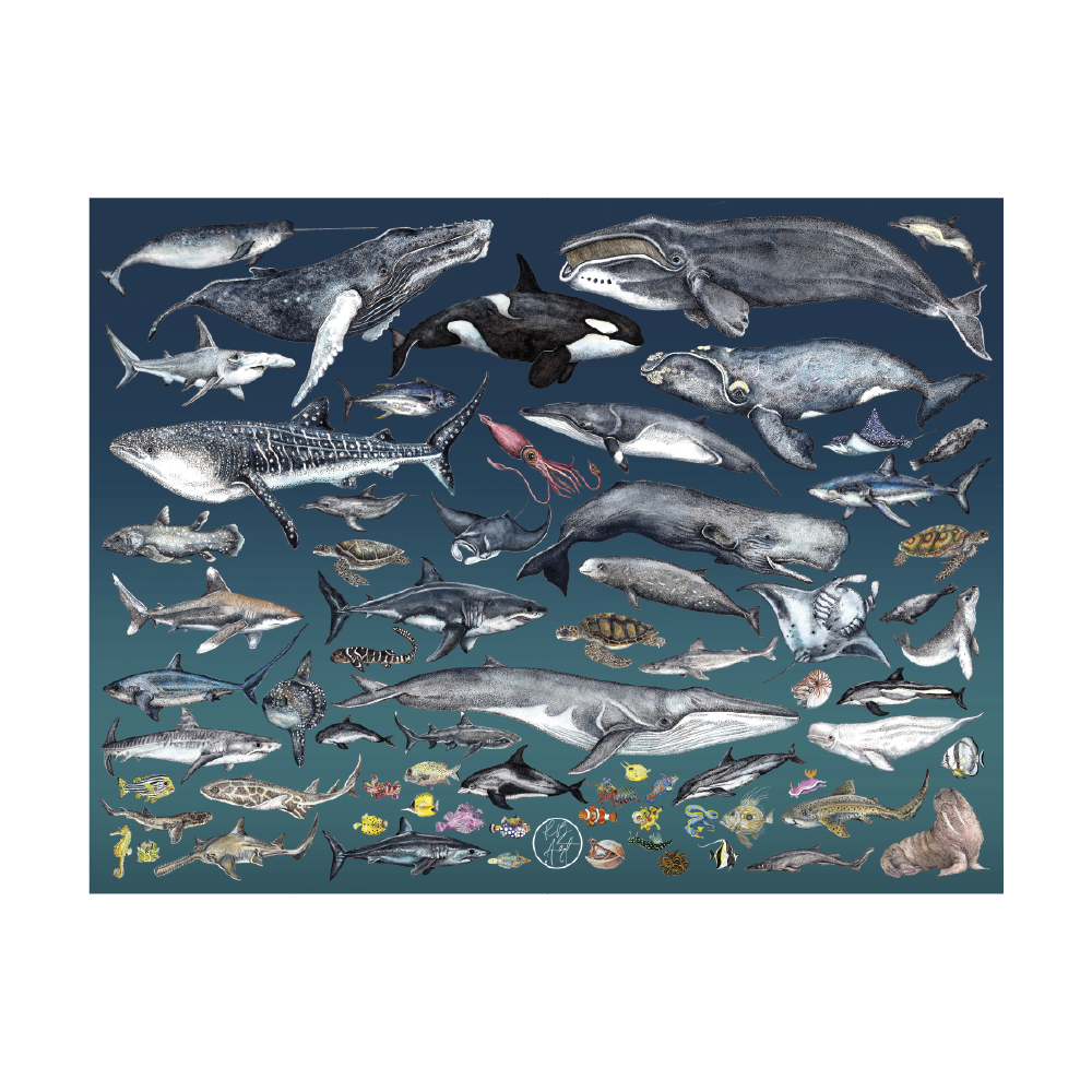 The Ocean 1000 Piece Jigsaw Puzzle – All Jigsaw Puzzles