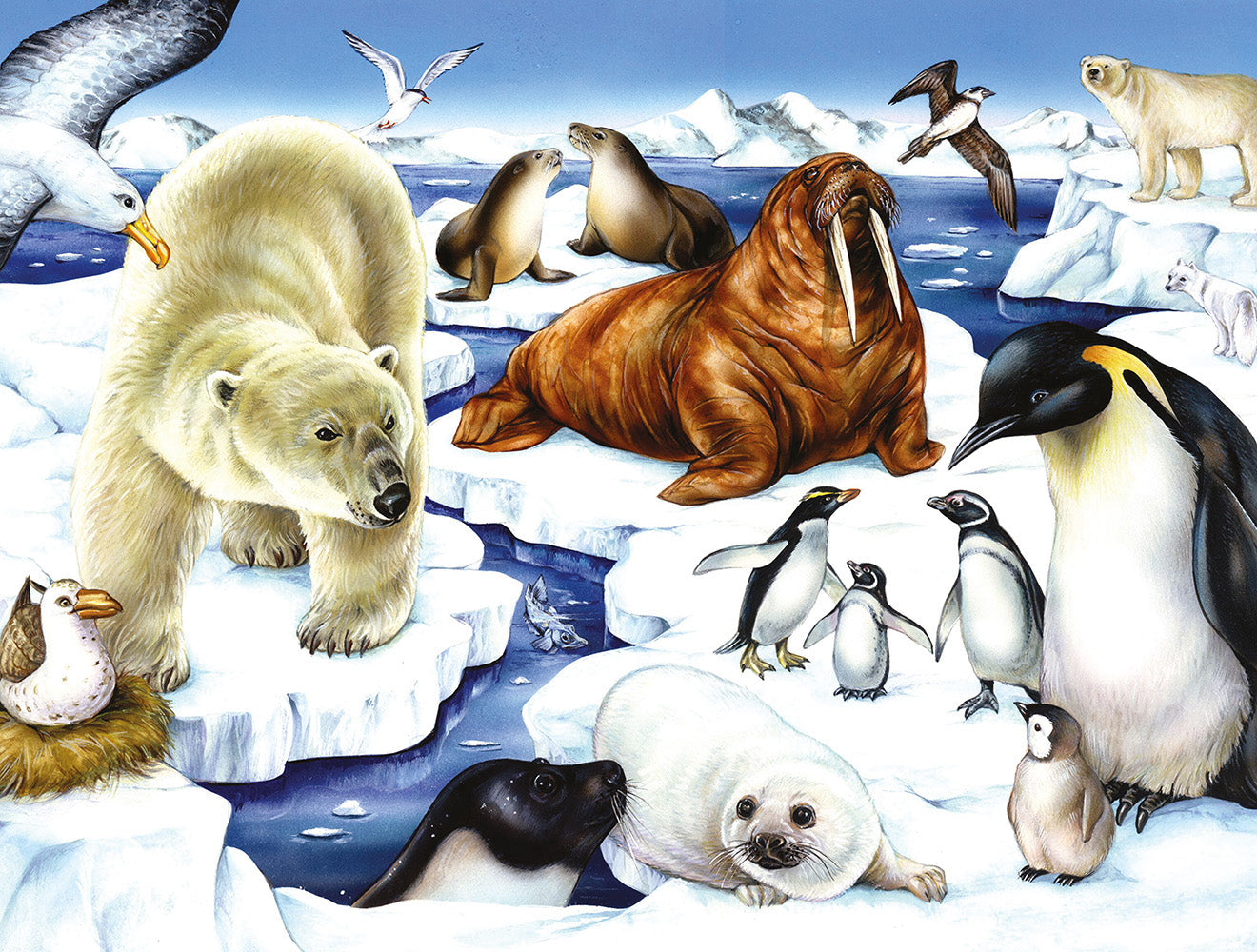 Wild Arctic 1000 Piece Jigsaw Puzzle – All Jigsaw Puzzles