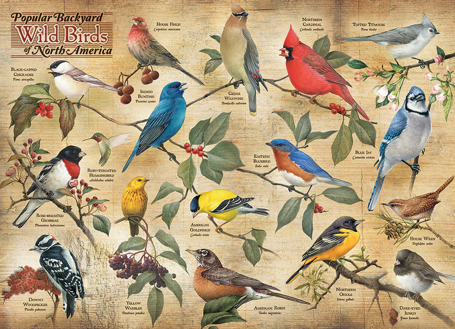 Popular Backyard Wild Birds of North America 1000 Piece Jigsaw Puzzle ...