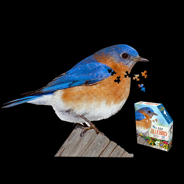 I am Bluebird 300 Piece Shaped Jigsaw Puzzle – All Jigsaw Puzzles