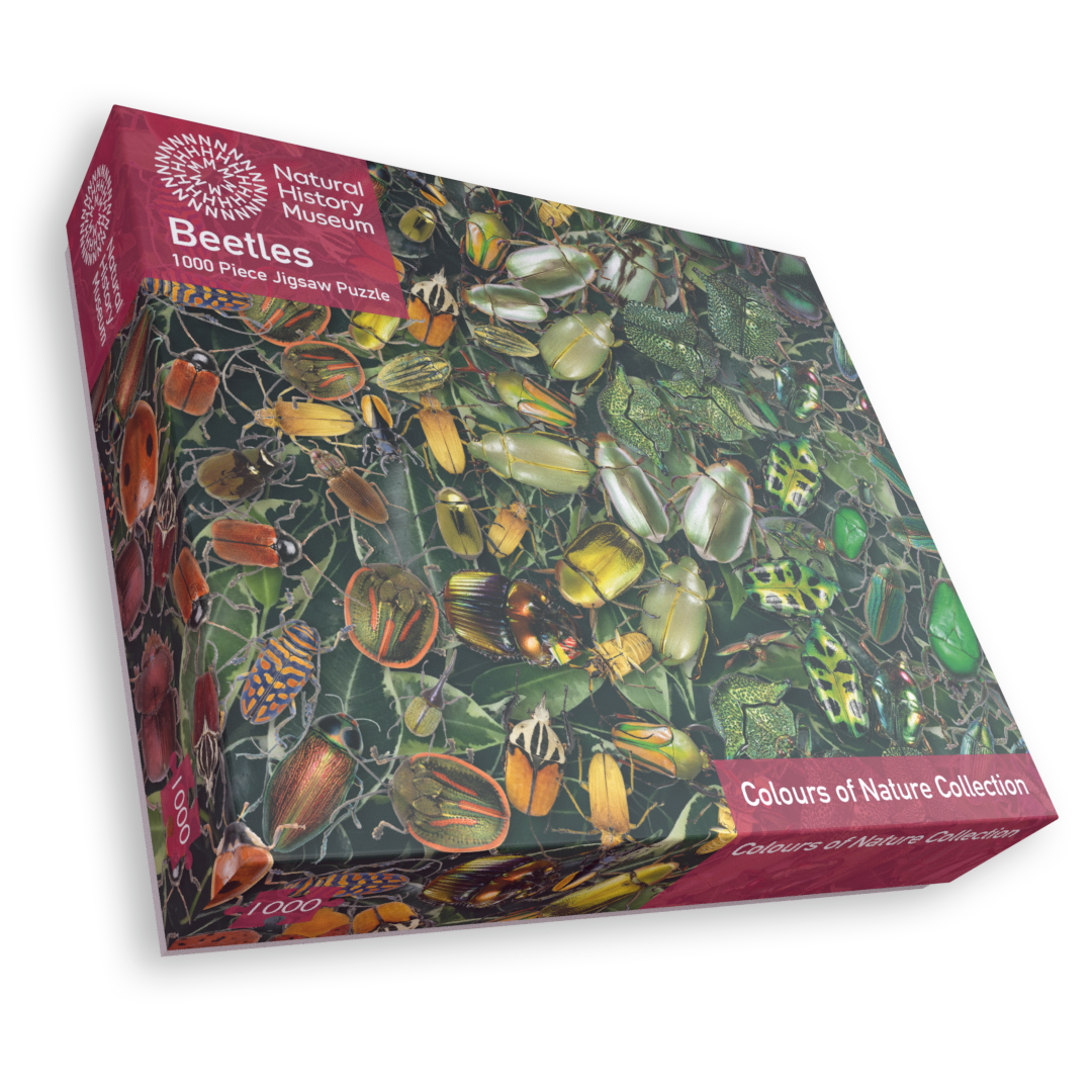 Natural History Museum - Beetles 1000 Piece Jigsaw Puzzle – All Jigsaw ...