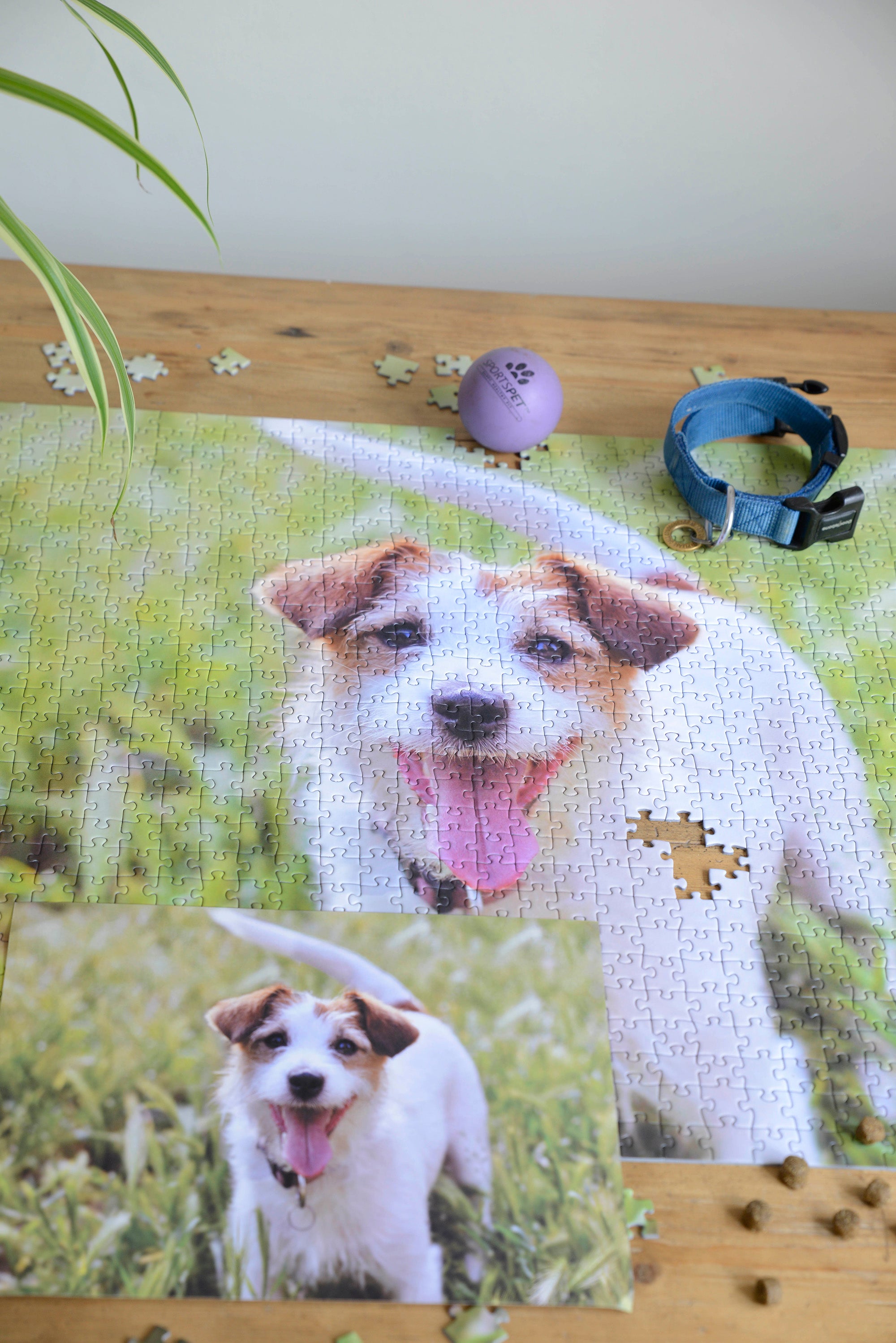 Valentine's Day Jigsaw Puzzles | All Jigsaw Puzzles