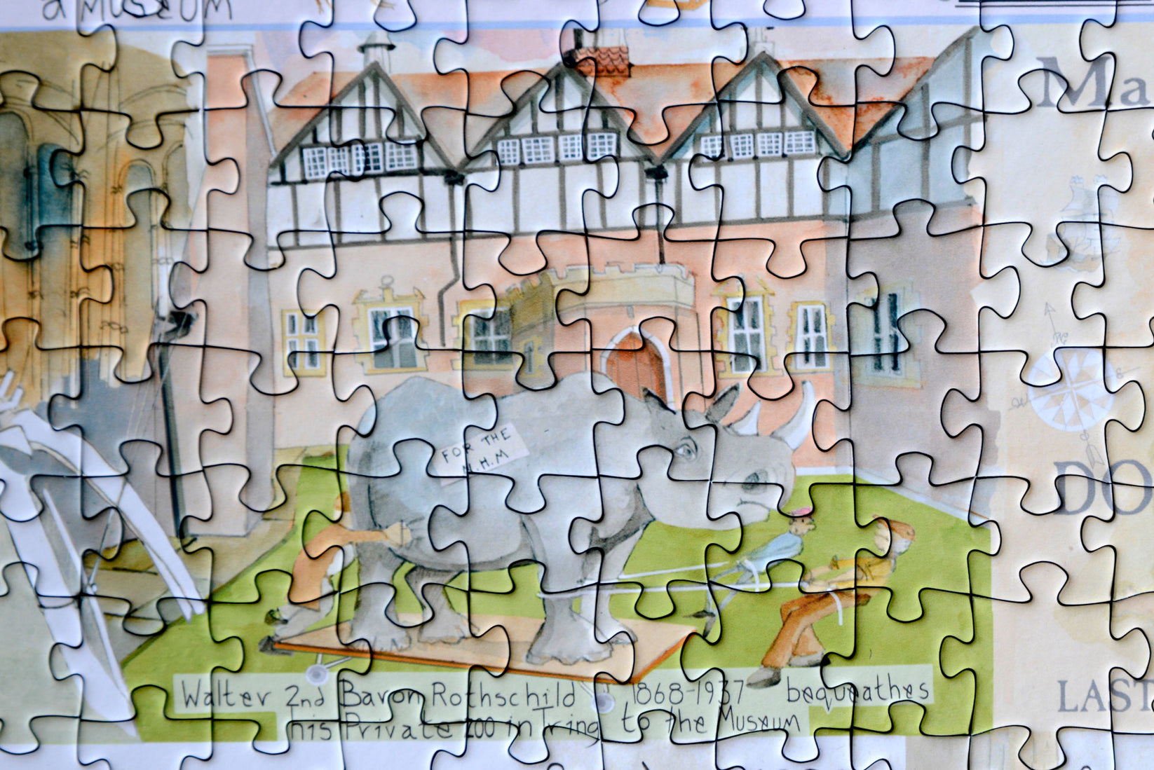 Tim Bulmer - Natural History Museum 1000 Piece Jigsaw – All Jigsaw Puzzles