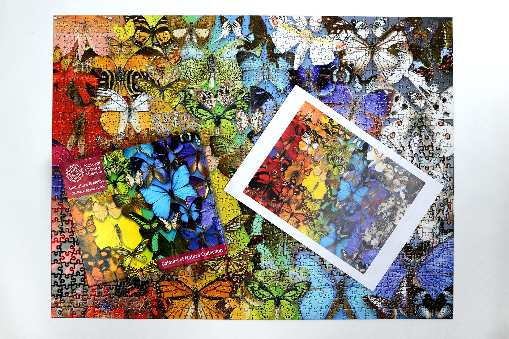 Natural History Museum - Butterflies & Moths 1000 Piece Jigsaw Puzzle ...