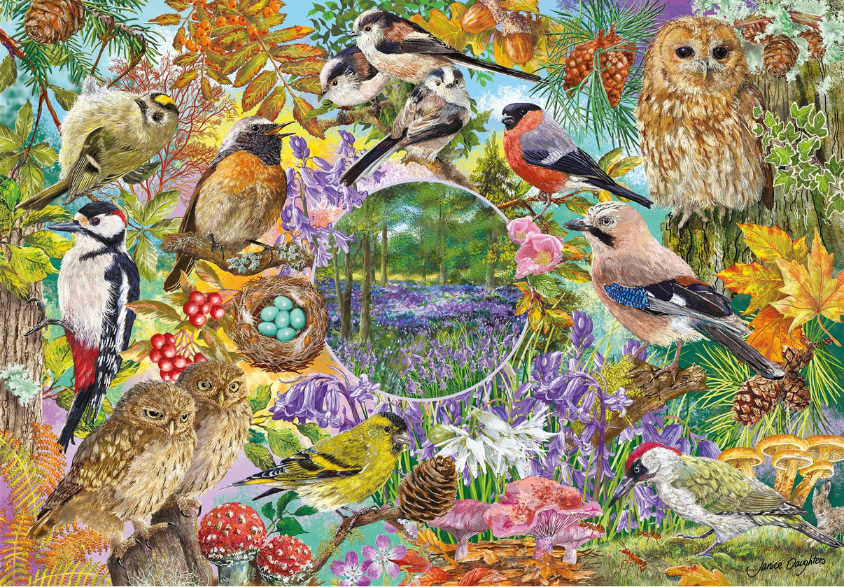 RSPB Wings in the Wild 4x500 Piece Jigsaw Puzzle – All Jigsaw Puzzles