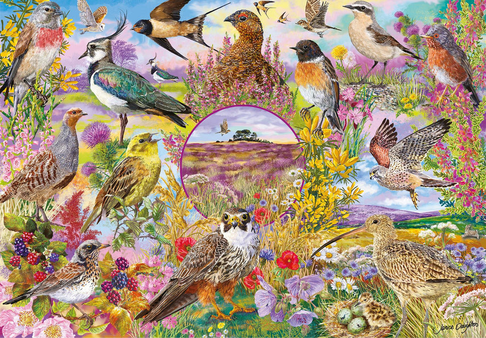 RSPB Wings in the Wild 4x500 Piece Jigsaw Puzzle – All Jigsaw Puzzles