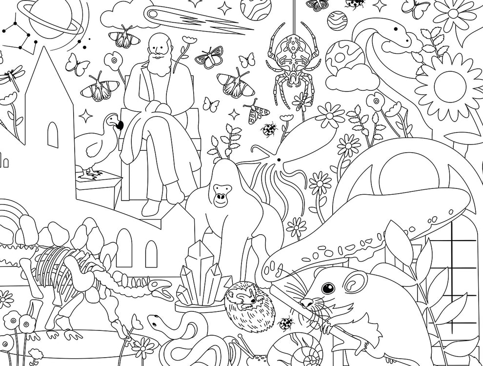 Natural History Museum Colouring 2 x 100 Piece Jigsaw Puzzle Set – All ...