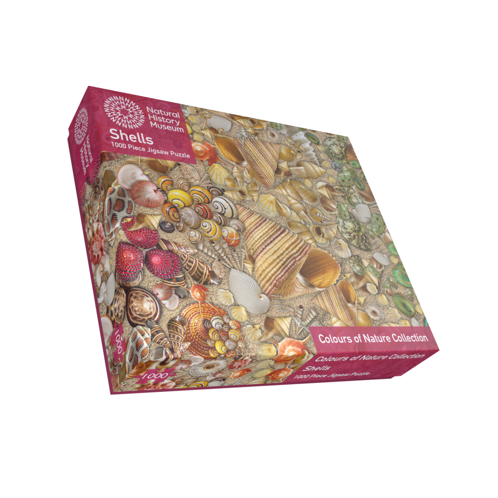 Natural History Museum - Shells 1000 Piece Jigsaw Puzzle – All Jigsaw Puzzles